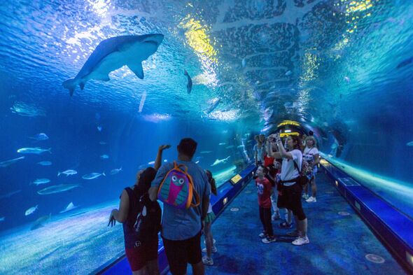 Europe’s 10 best zoos and aquariums according to Tripadvisor – two are ...